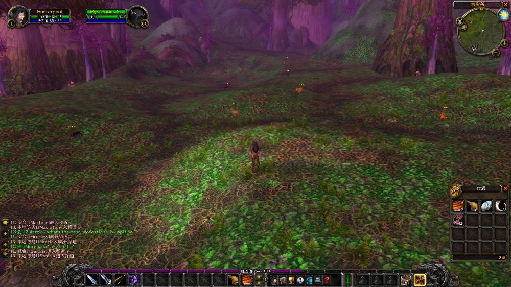 魔兽世界Turtle乌龟服亚服登陆方式